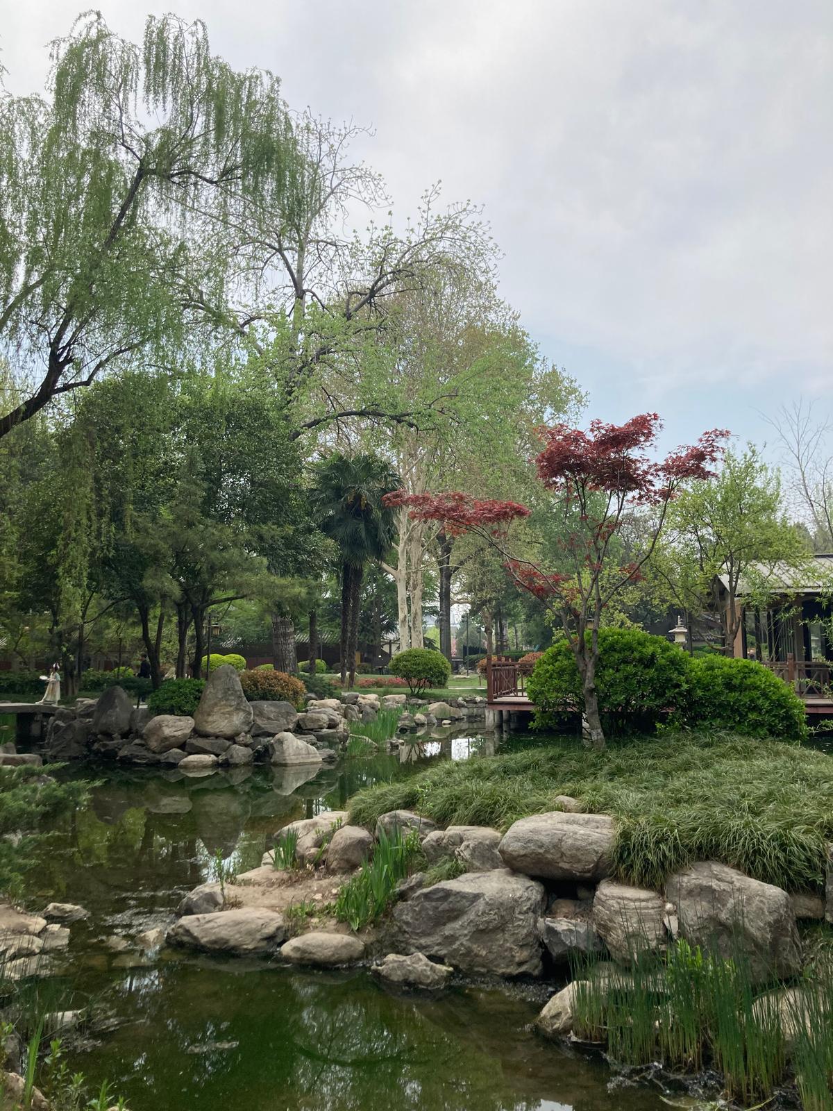 Travel Blog and Travel Guides - Penley Perspective